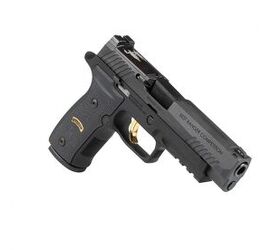 SIG SAUER Unveils U.S. Army Best Ranger Competition M17 Trophy Pistols ...