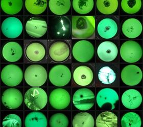 Friday Night Lights: Night Vision Blemishes And How To Fix Them ...