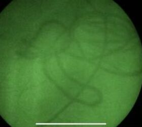 Friday Night Lights: Night Vision Blemishes And How To Fix Them ...