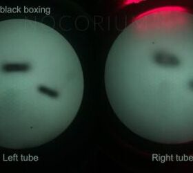 Friday Night Lights: Night Vision Blemishes And How To Fix Them ...