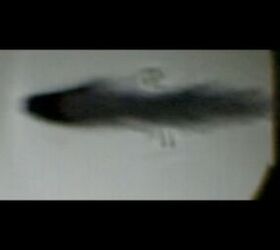 DIY Schlieren Imaging of Bullets In Slow Motion | thefirearmblog.com