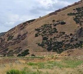 Getting Started in CMP Service Rifle Competition | thefirearmblog.com