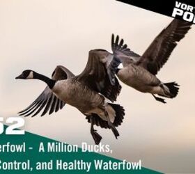 TFB Podcast Roundup 59: USPSA Tech, Predator Control, & Survival ...