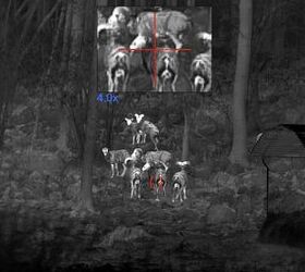 TFB Review: Pulsar Thermion 2 LRF XP50 Pro Thermal Riflescope | thefirearmblog.com