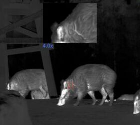 [IWA 2023] Pulsar Vision – Night Vision & Thermal News | thefirearmblog.com