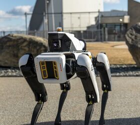 POTD: Semi-Autonomous Canine at Cape Cod Space Force Station ...