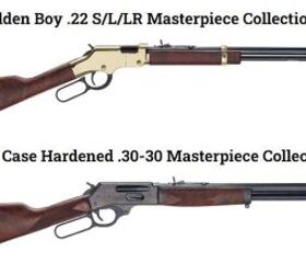 Silver Anniversary: Henry Masterpiece Collection | thefirearmblog.com