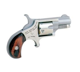 Wheelgun Wednesday: Cartridge Spotlight – .22 Caliber Revolvers ...