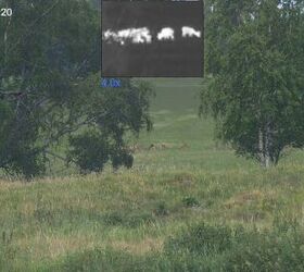 TFB Review: Pulsar Thermion DUO DXP50 Daytime & Thermal Riflescope ...