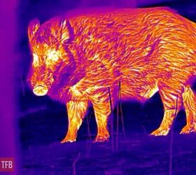 TFB Review: Infiray Outdoor's Tube TS60 Thermal Scope – HD Thermal ...