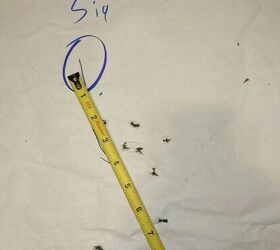 Hogue's New Laser Enhanced Grips for the Springfield 911 & SIG P938 ...