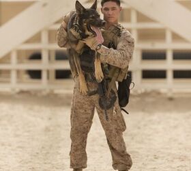 POTD: Marine Photography | thefirearmblog.com